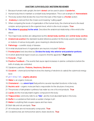 Epinephrine - Concept Map - ACTIVE LEARNING TEMPLATES TherapeuTic ...