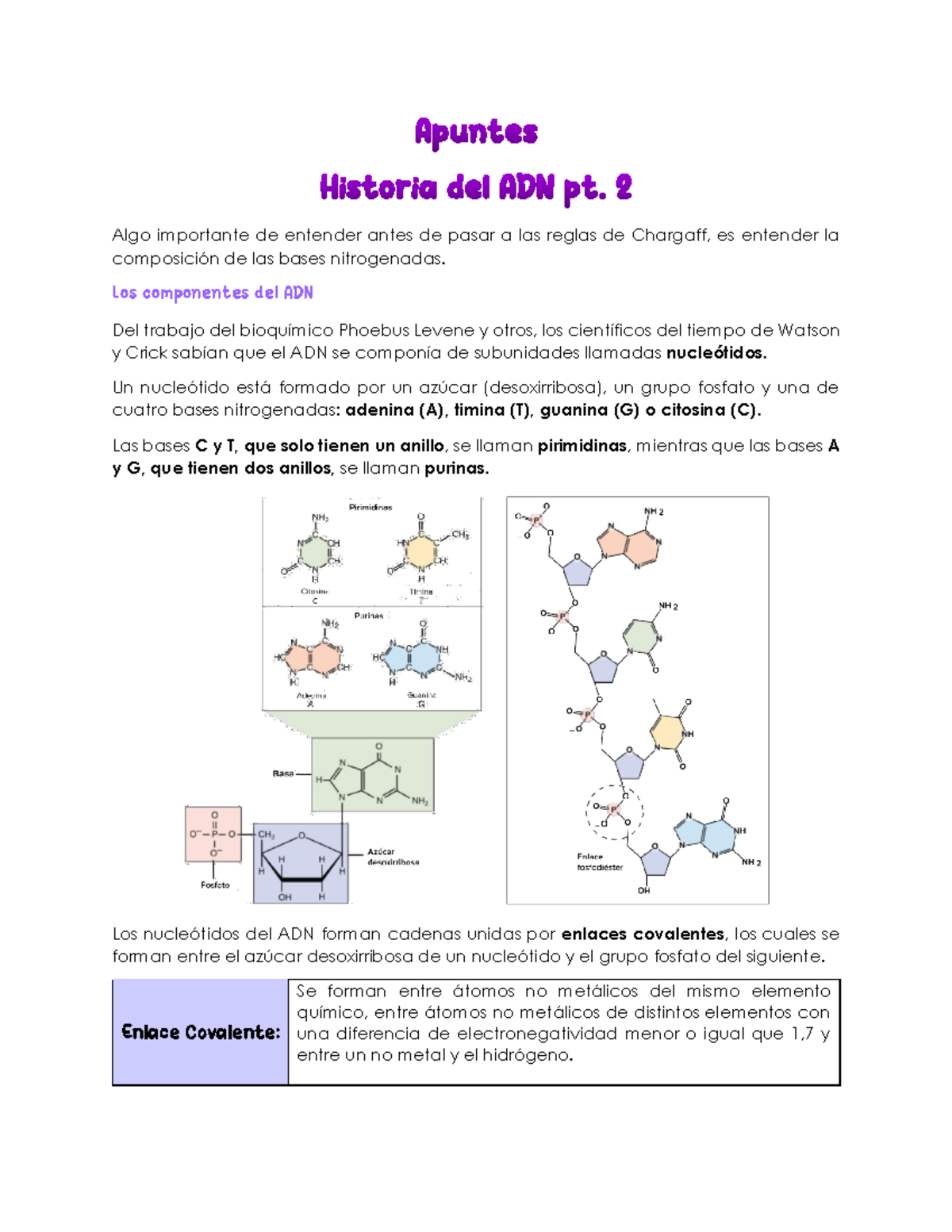 Apuntes ADN 2 - zxcvbnm - Algo importante de entender antes de pasar a ...