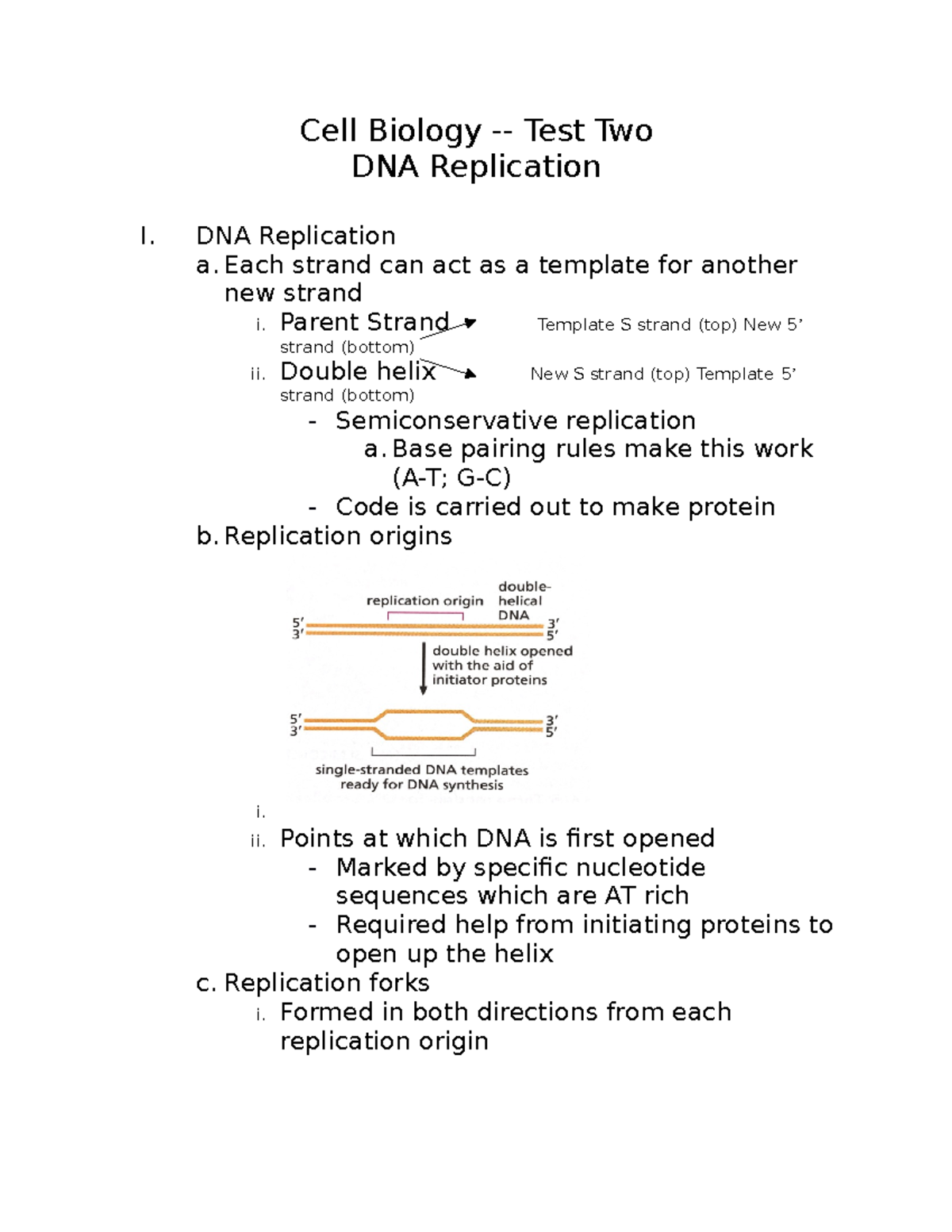 Test 2 Lecture 2 - Cell Biology - Test Two DNA Replication I. DNA ...