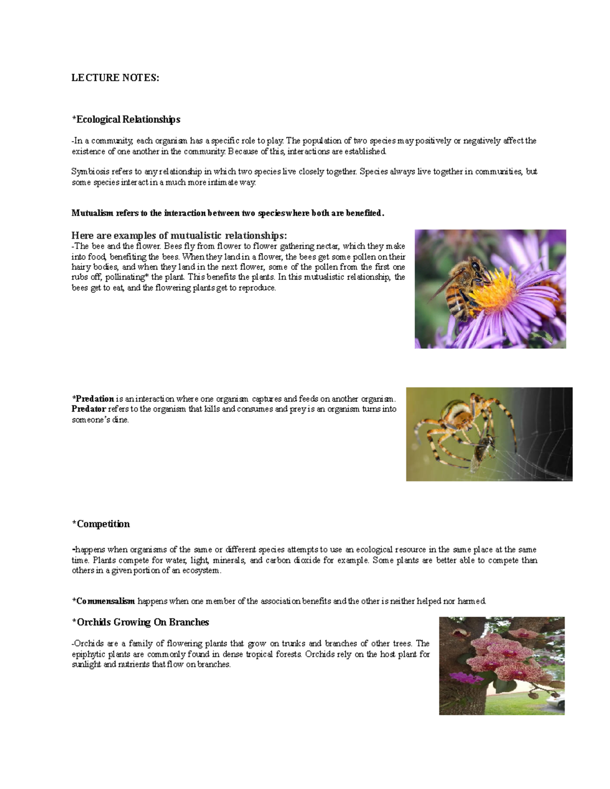 Ecological Relationships - LECTURE NOTES: *Ecological Relationships -In ...