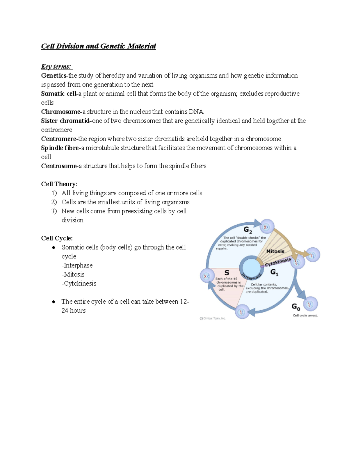 Cell Division and Genetic Material - The two chromosome arms are called ...