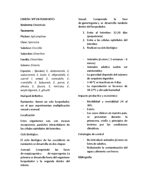 Paramphistomum cervi - resumen - Paramphistomum cervi Reino Filo ...