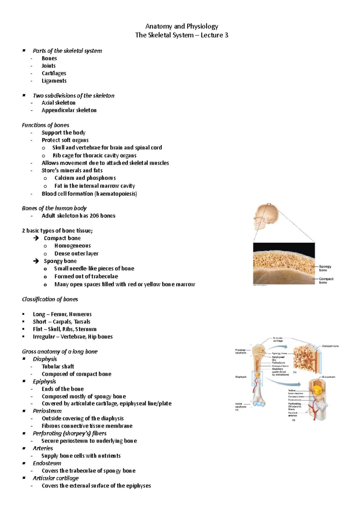 The skeletal system - APH week 2 - The Skeletal System – Lecture 3 ...