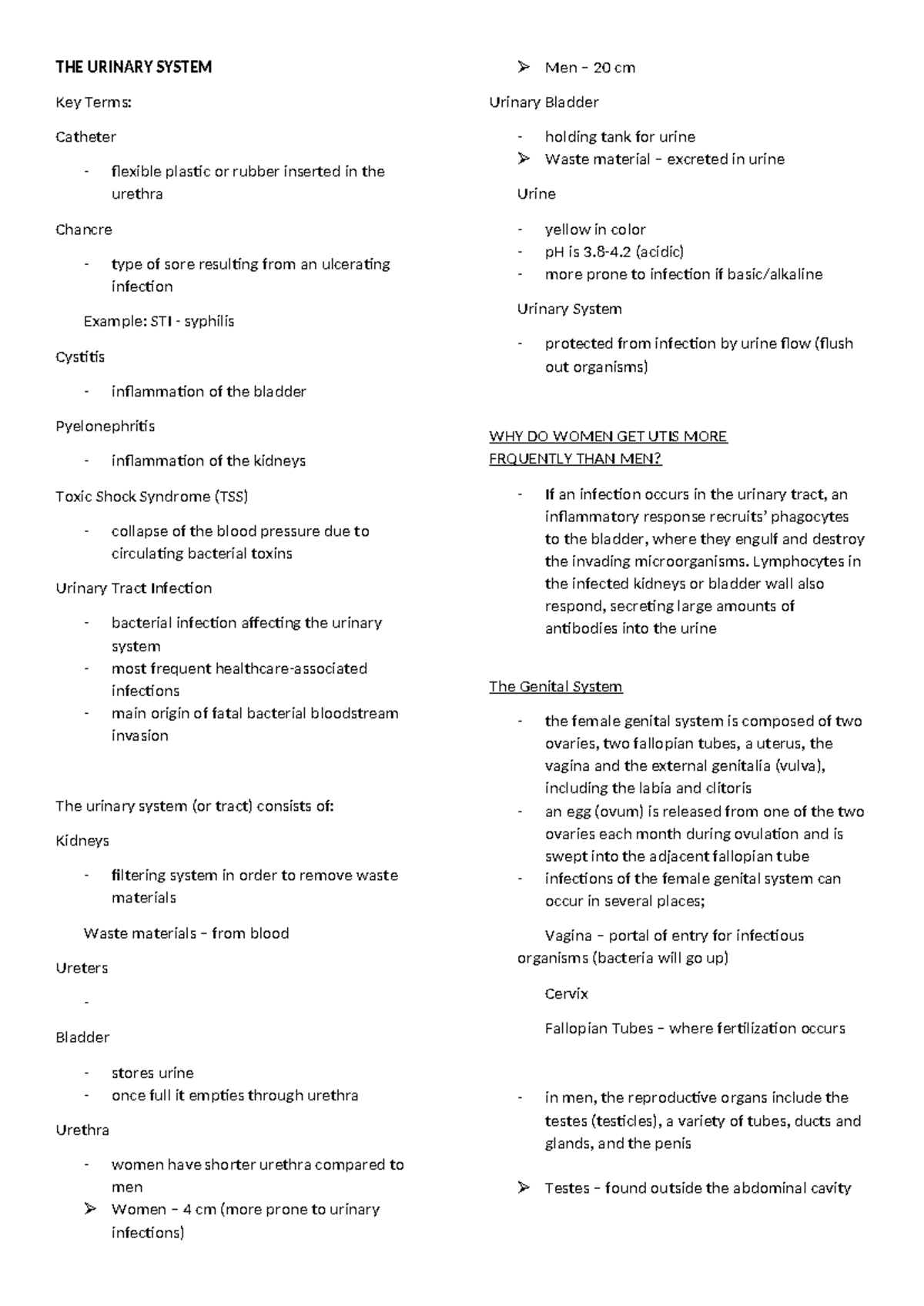 The Genitourinary System - THE URINARY SYSTEM Key Terms: Catheter ...
