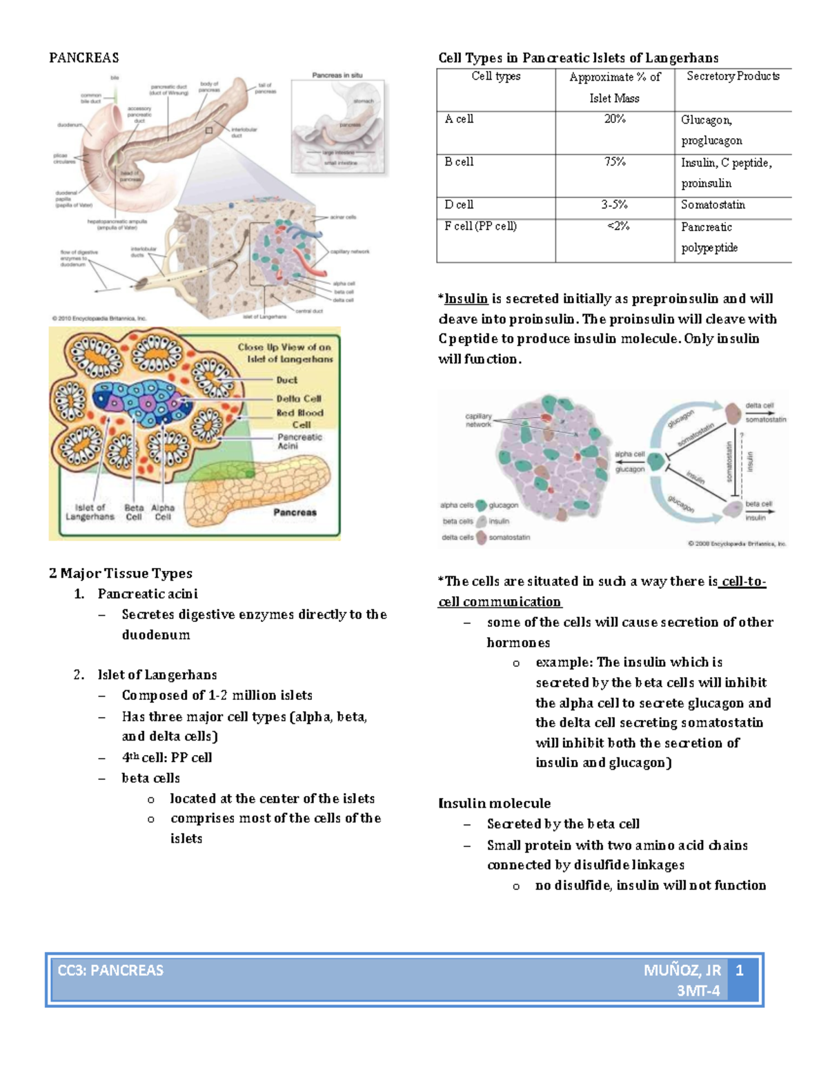 CC3-Pancreas - summaries - CC3: PANCREAS MUÑOZ, JR 3MT-­‐ 1 PANCREAS 2 ...