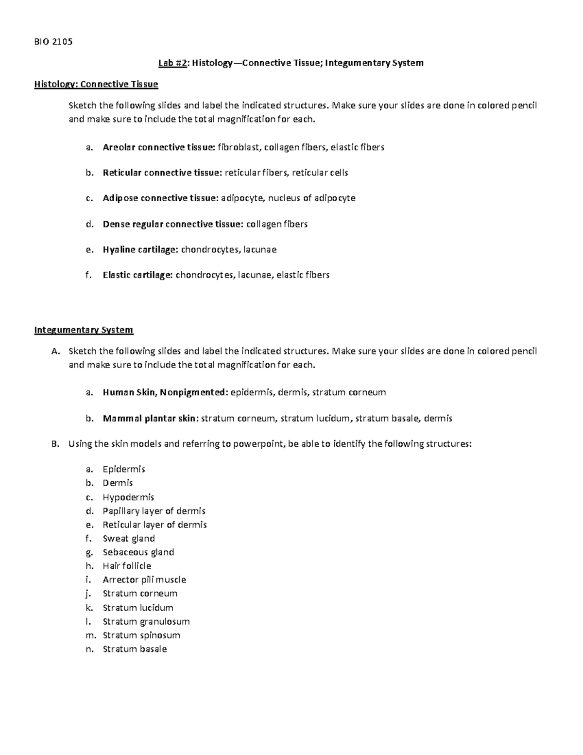 Lab 3- CT and Integumentary - BIO 2105 Lab #2: Histology—Connective ...