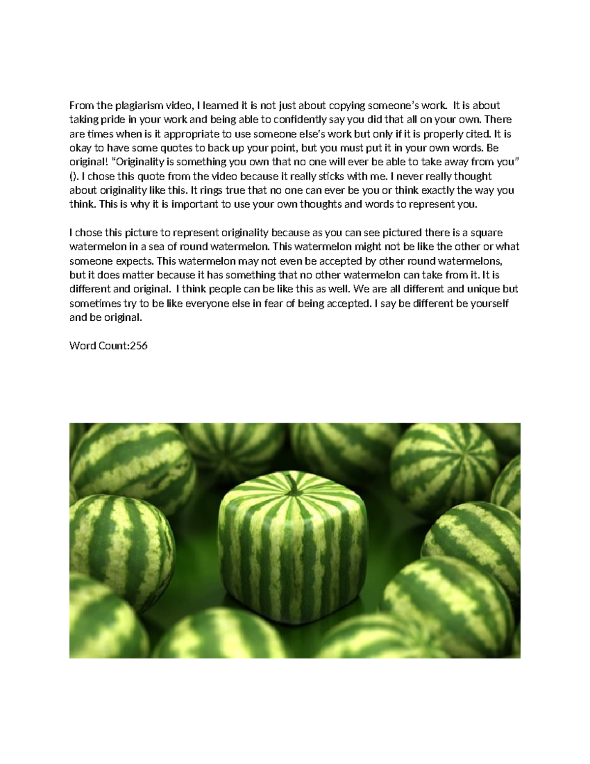 Blog - blog - From the plagiarism video, I learned it is not just about ...