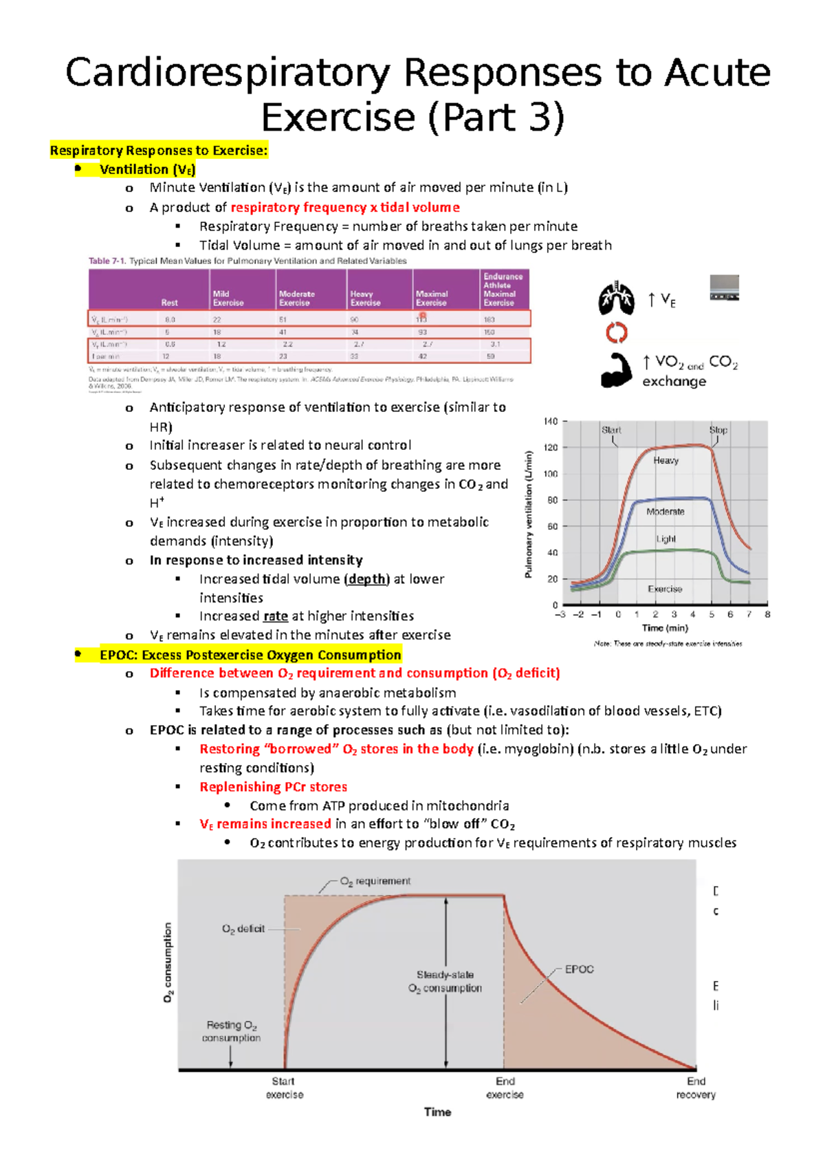 Cardiorespiratory Responses to Acute Exercise (Part 3 ...