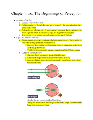 Sensation&Perception Ch - Chapter 5: Perceiving Objects and Scenes The puzzle of object and ...
