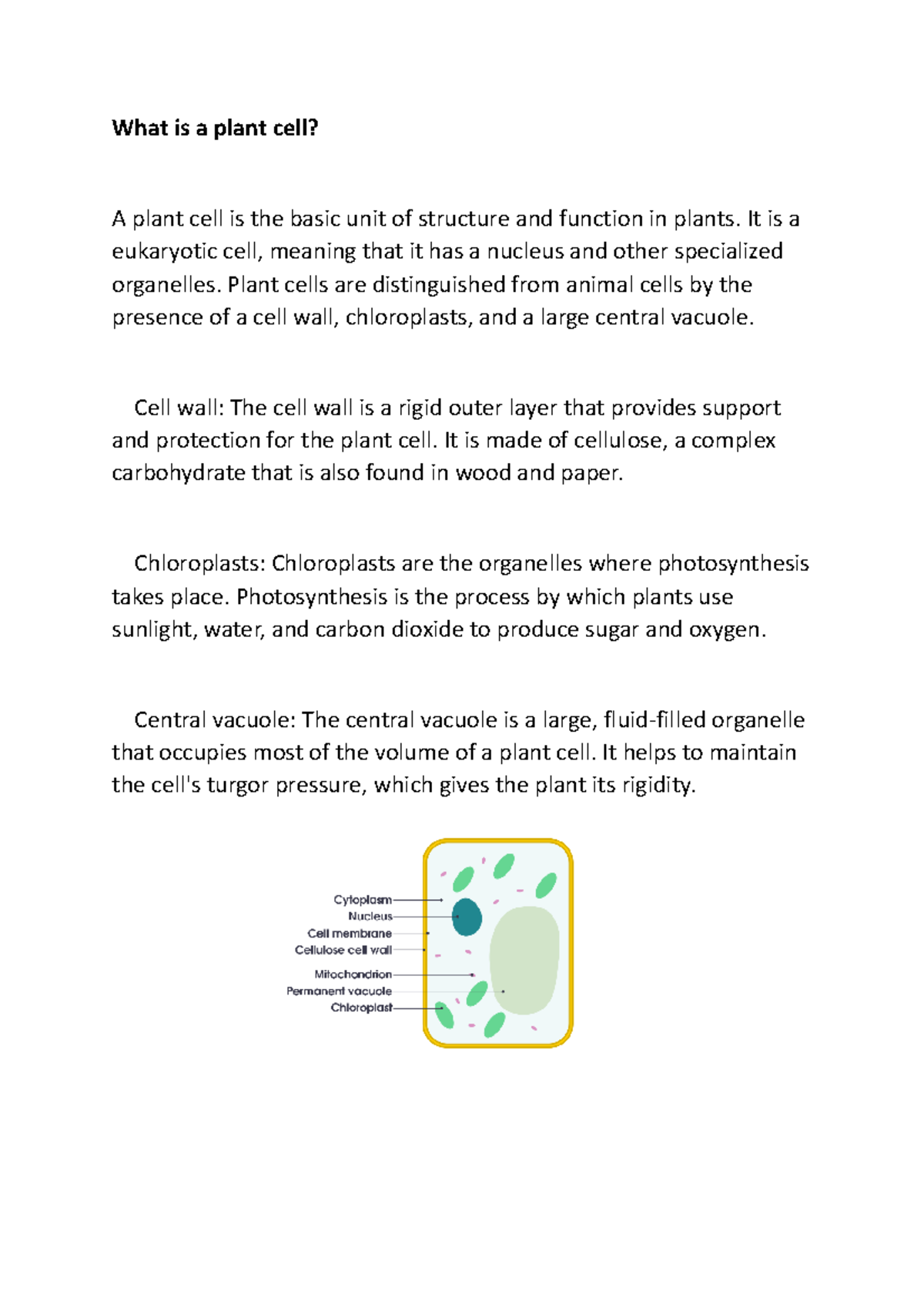 Bio - bio notes usefyul - What is a plant cell? A plant cell is the ...