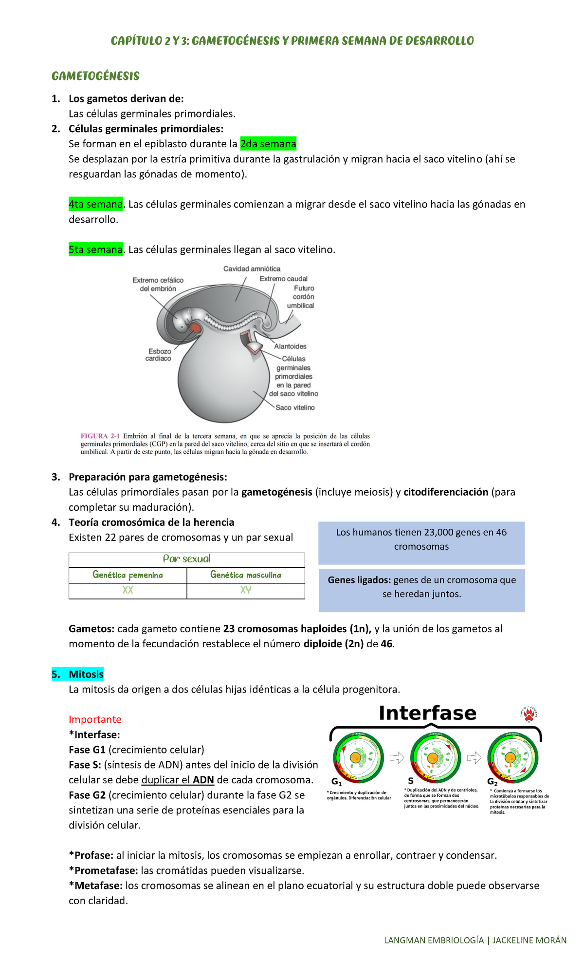 Capítulo 2 Y 3 Gametogénesis Y Primera Semana DE Desarrollo - GAMETOG ...