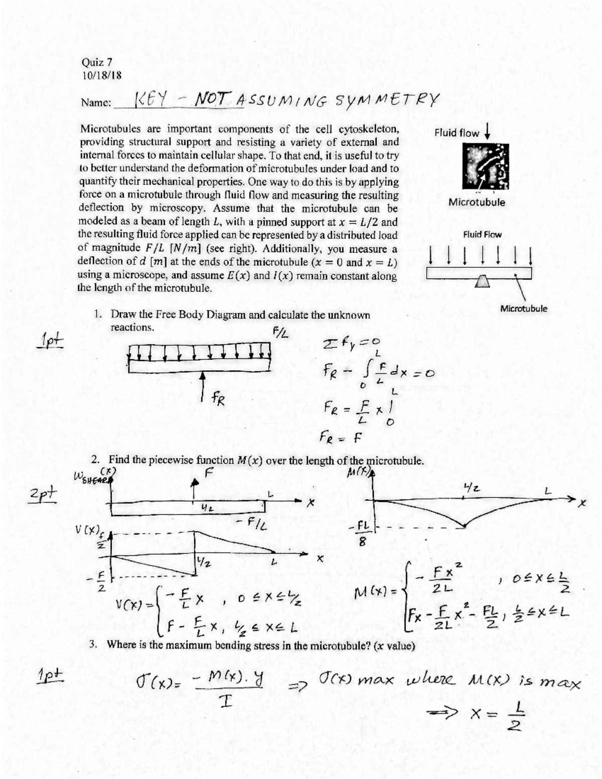 BMED 3400 Quiz 7 Solns - NO Symmetry - BMED 3400 - Studocu