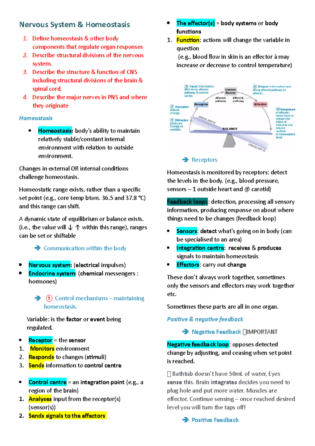 BM1011 Nervous System and Homeostasis - Nervous System & Homeostasis ...