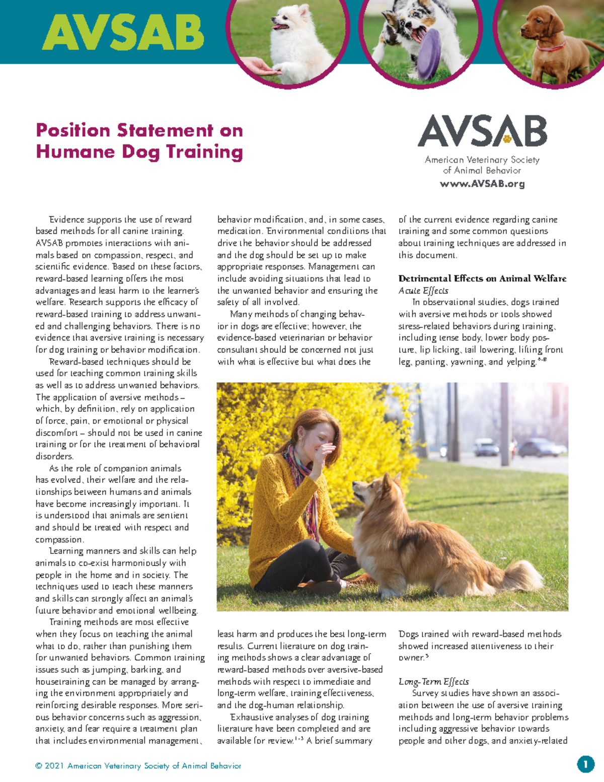 Avsab Humane Dog Training Position Statement 2021 - 1 American ...