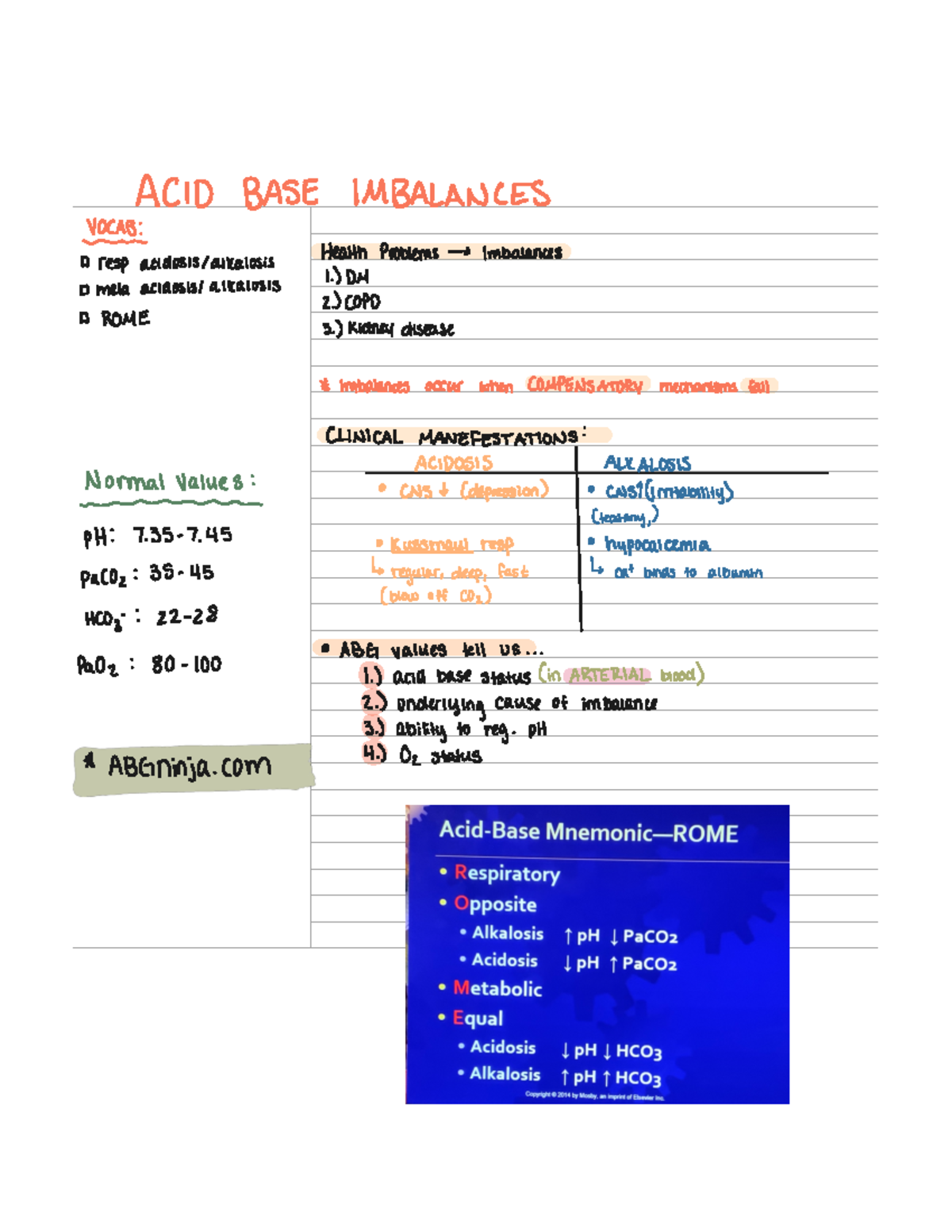 Acid Base Imbalances - ACID BASE IMBALANCES Éacidosisalkalosis Health ...