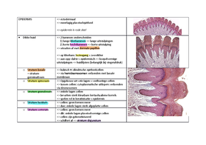 Mesomerie lesnotitiesz - Hoofdstuk 5 Mesomerie grensstructuur A ...