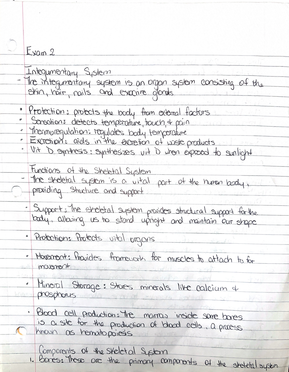 BIO Exam 2 Study Guide - BIO 105 - Studocu