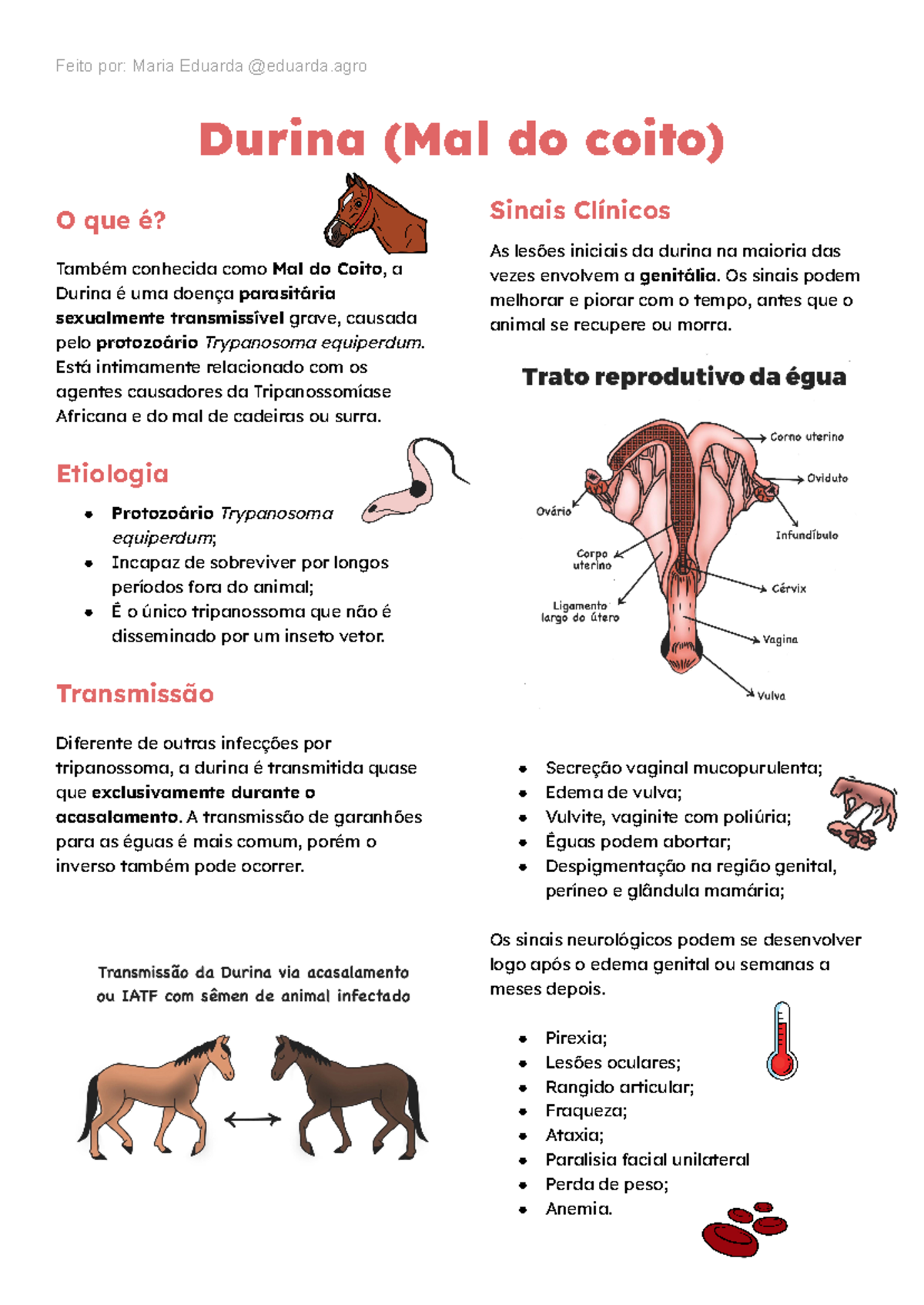 Durina - MAL DO Coito - Feito por: Maria Eduarda @eduarda Durina (Mal ...