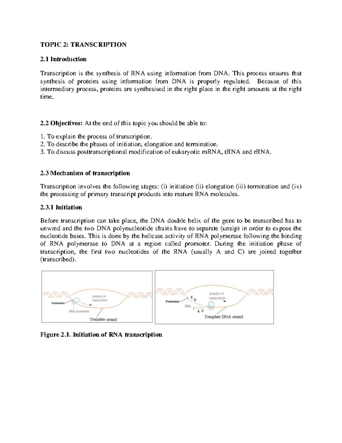 Transcription - TOPIC 2 : TRANSCRIPTION 1 Introduction Transcription is ...