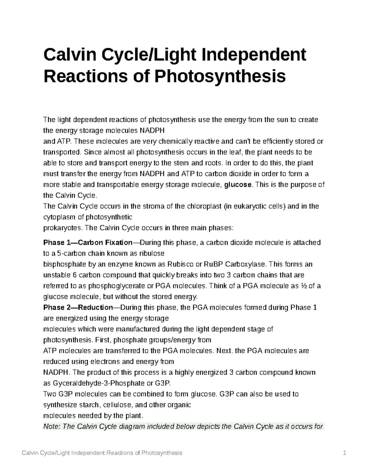 Calvin Cycle Light Independent Reactions of Photosynthesis - These ...