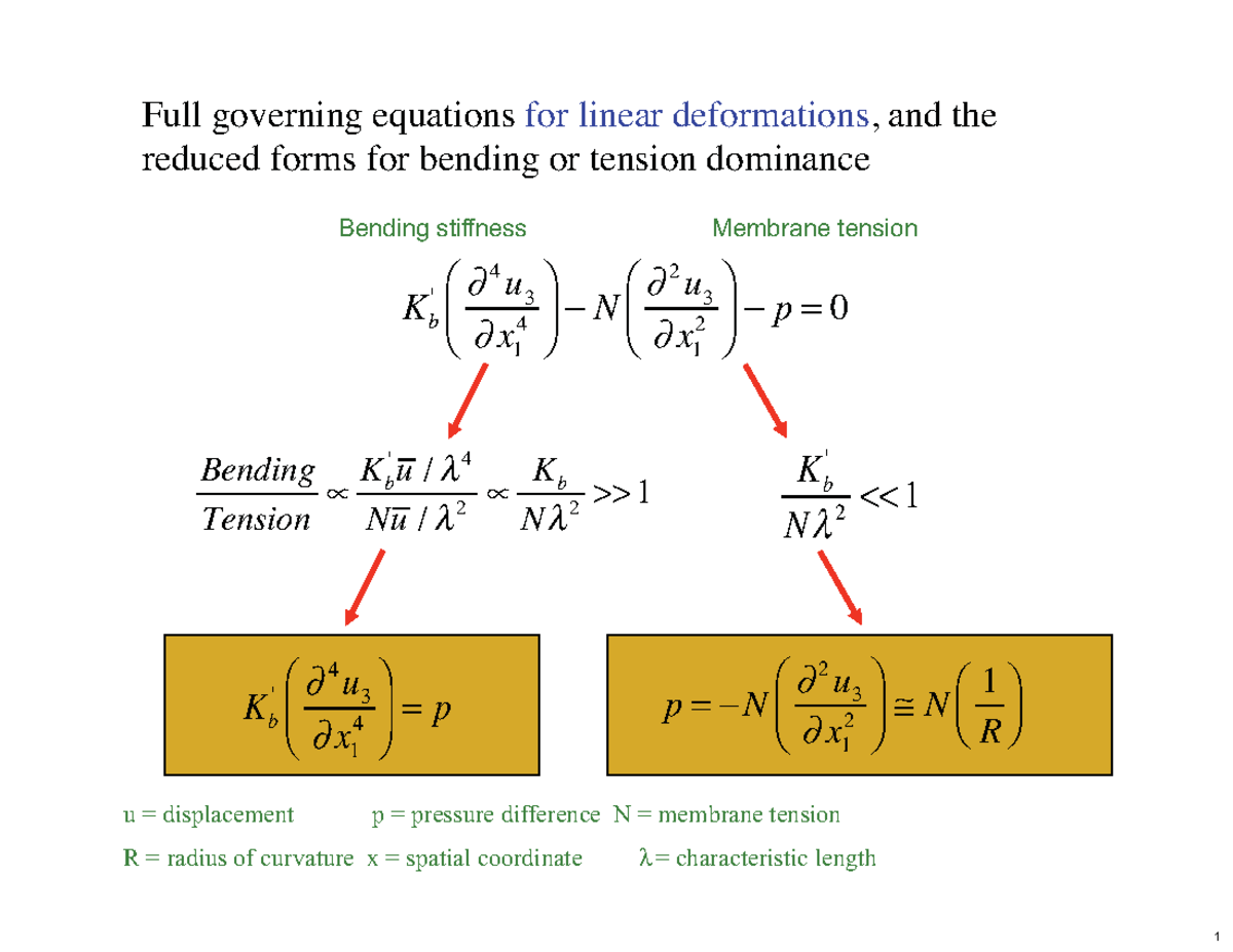 Biology notes (27) - ####### Full governing equations for linear ...