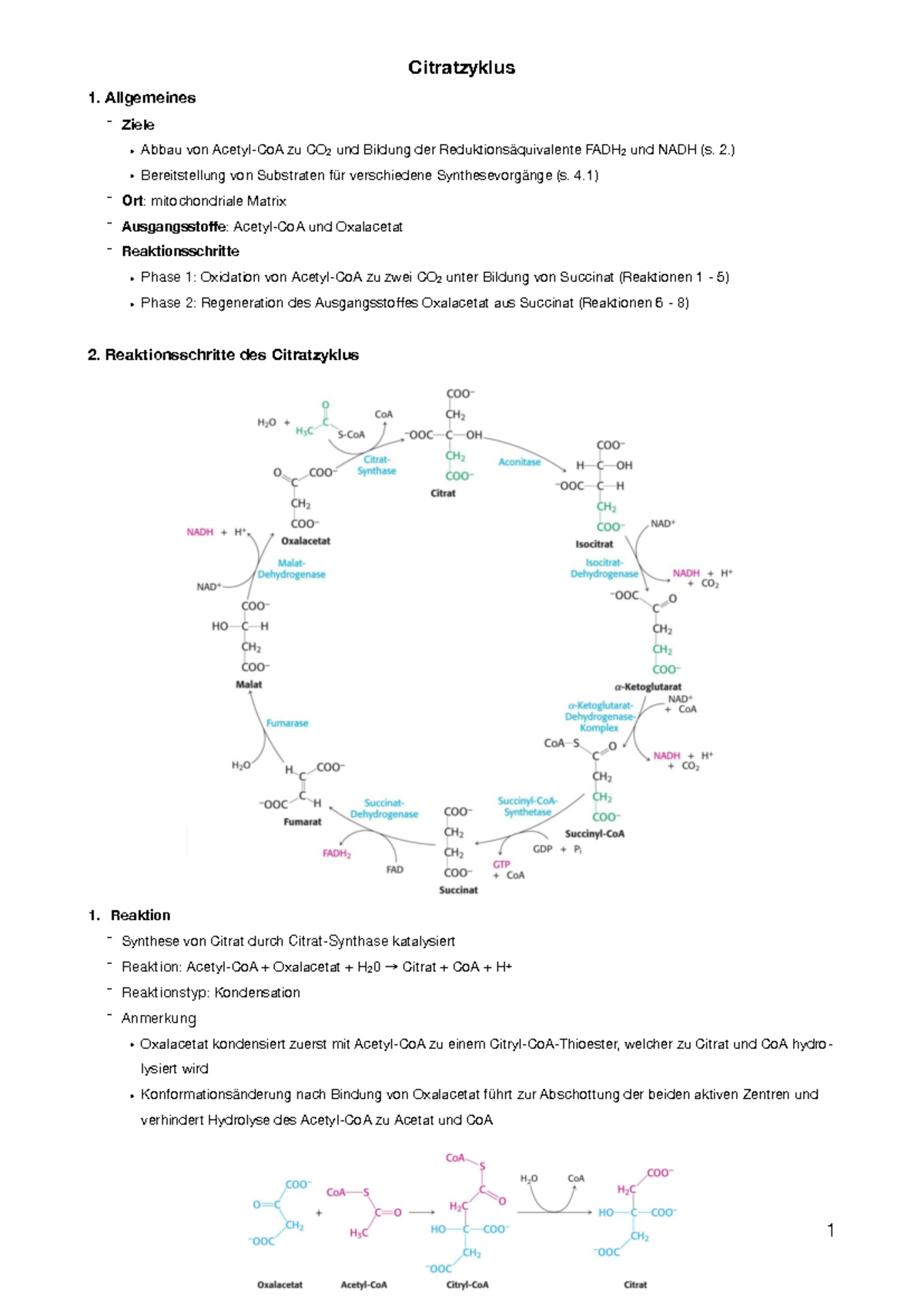 Citratzyklus - 1. Allgemeines Ziele Abbau von Acetyl-CoA zu CO 2 und ...