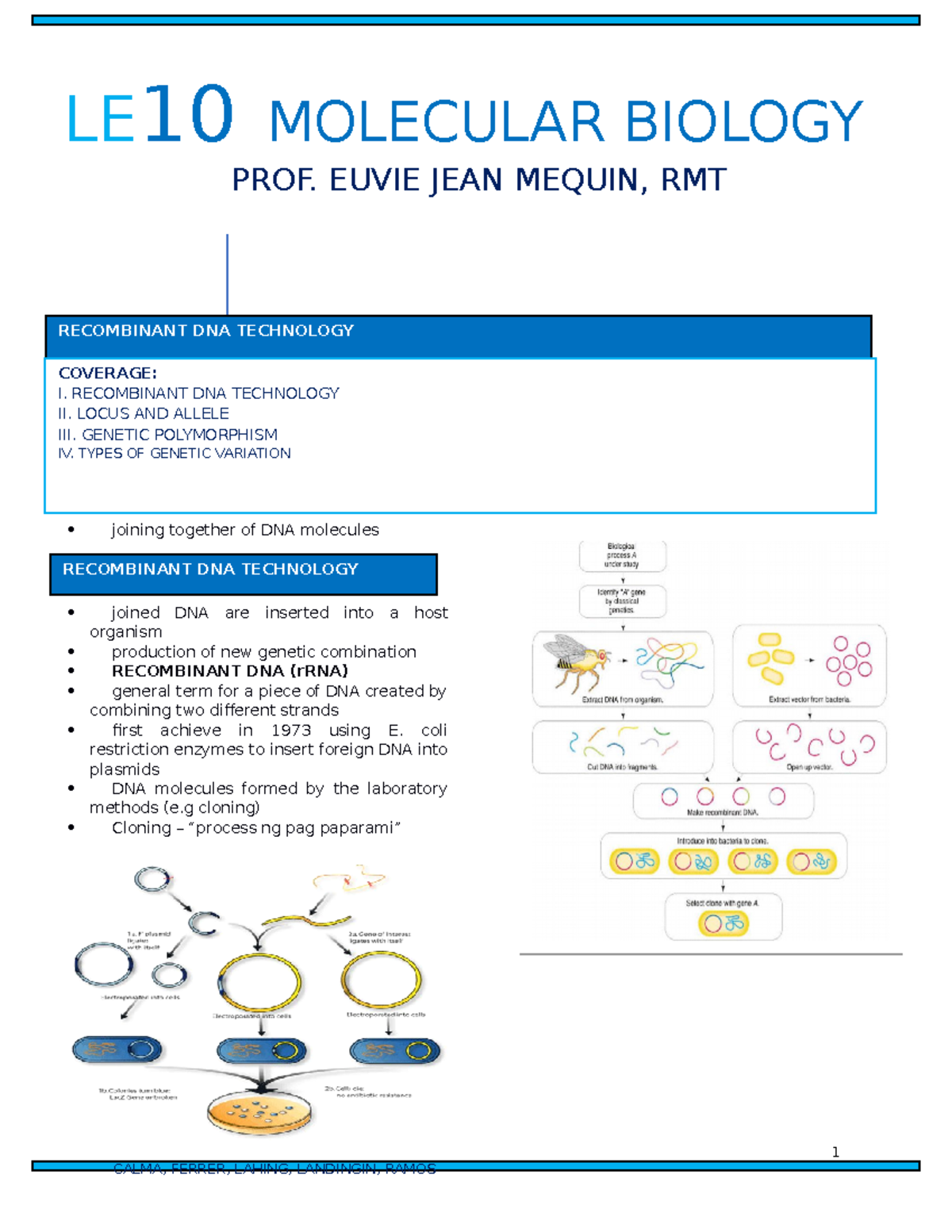 LEC 10 Group 11 - SUMMARY FOR MOLECULAR BIOLOGY BOOK - joining together ...