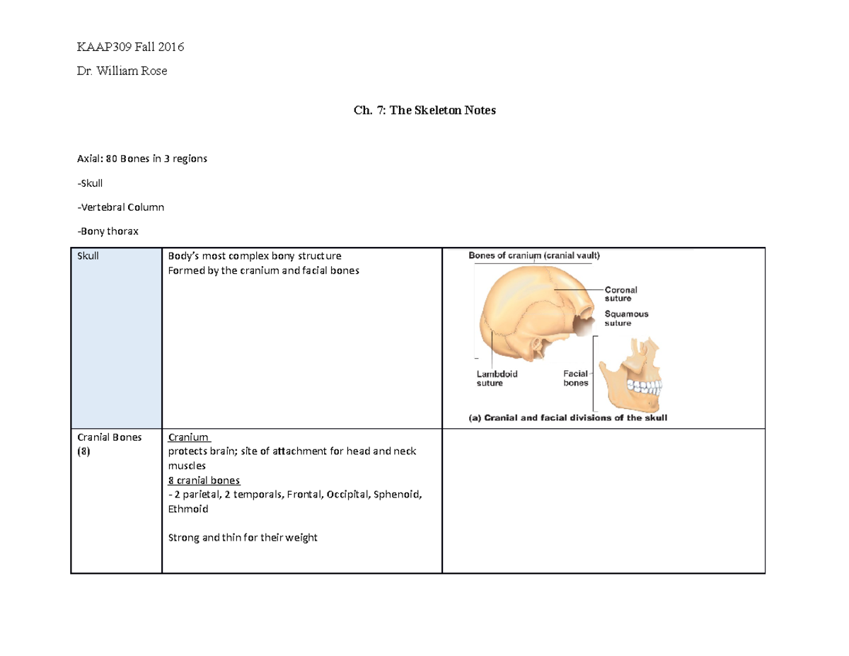 Ch 7 The Skeleton - Dr. William Rose Ch. 7: The Skeleton Notes Axial ...