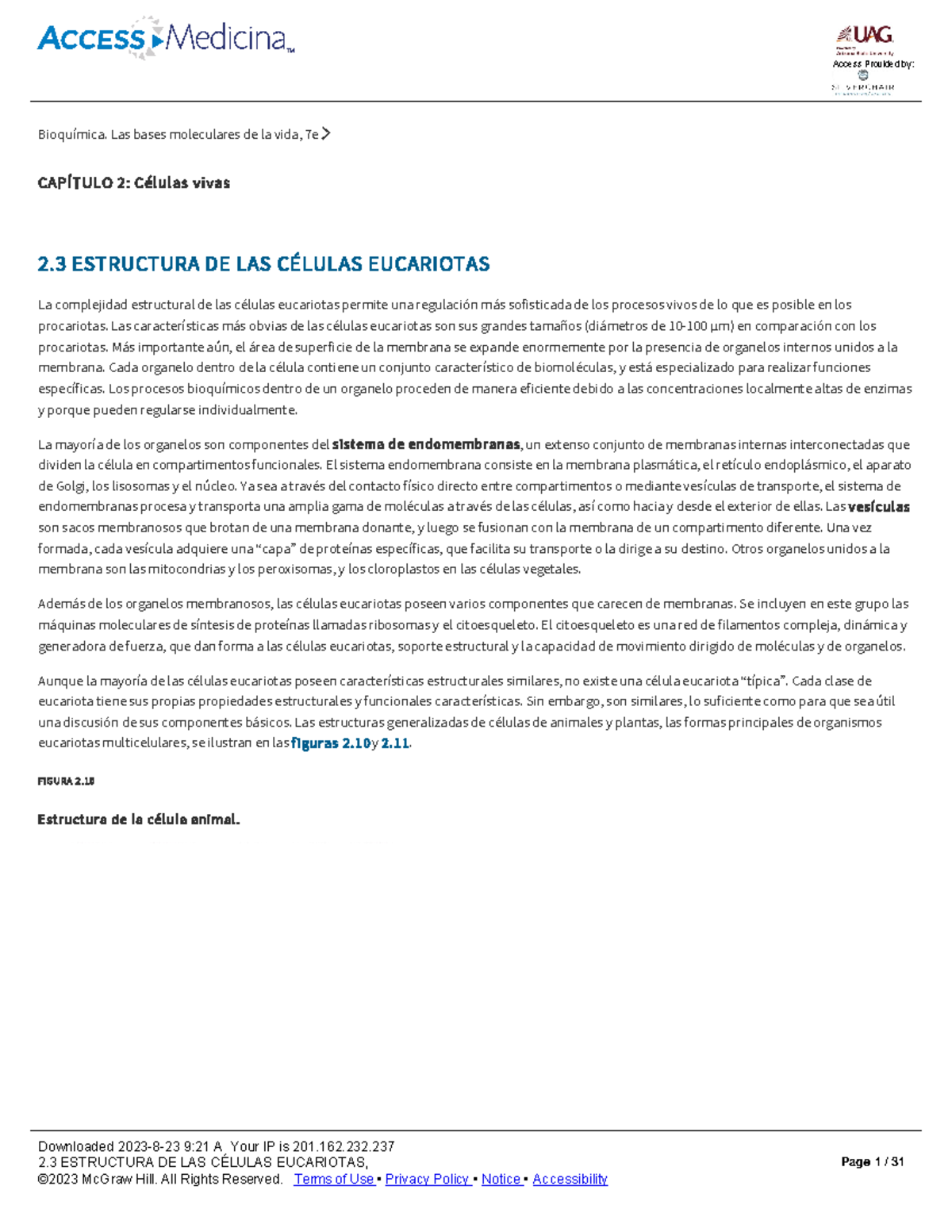 2.3 Estructura DE LAS Células Eucariotas - Bioquímica. Las bases ...