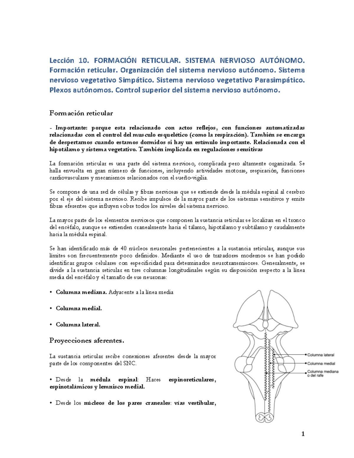 Tema 10 - Lección 10. FORMACIÓN RETICULAR. SISTEMA NERVIOSO AUTÓNOMO ...
