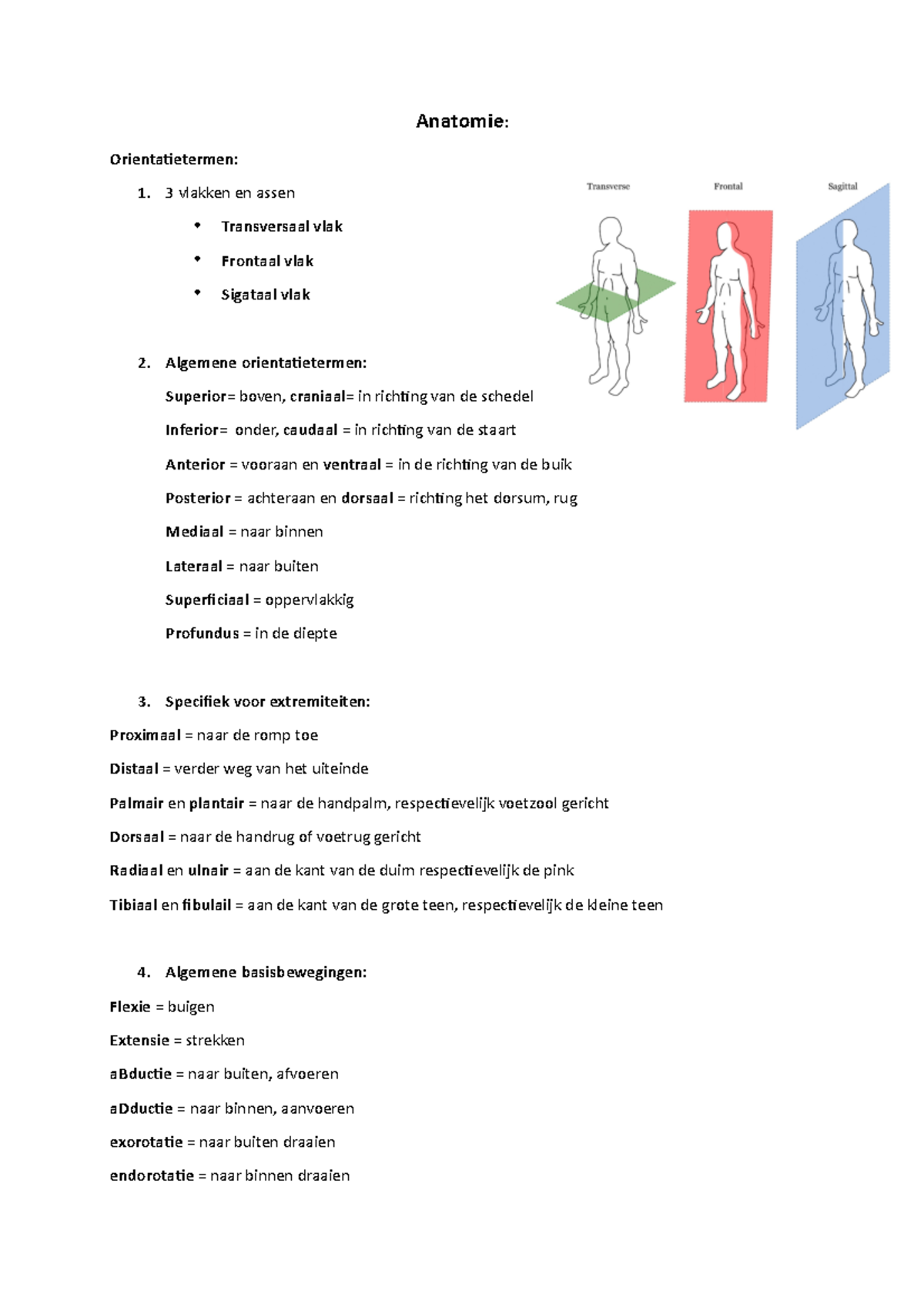 Samenvatting - Anatomie - semester 1 - 2020 - pdf - Anatomie: Orienta ...