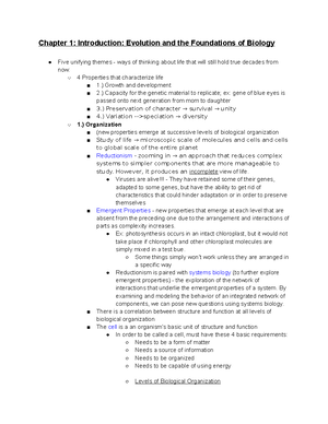 Cell biology 4/5 - Types of Cell Junctions (roles) - adhering : cell ...