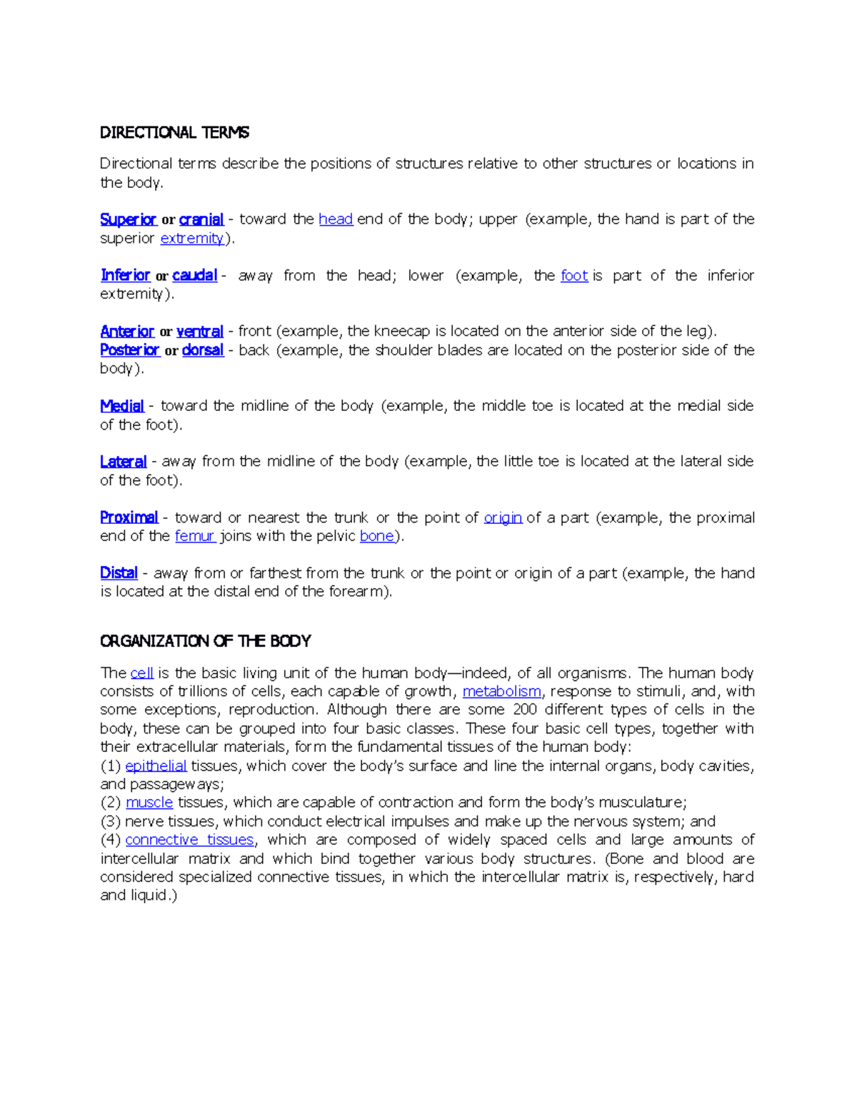 Directional Terms - DIRECTIONAL TERMS Directional terms describe the ...