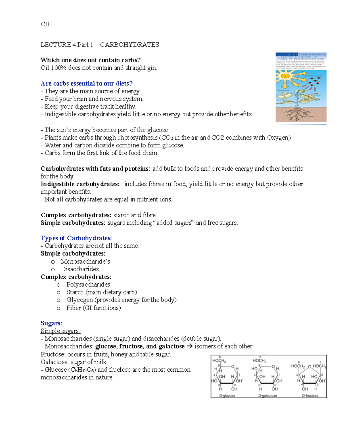 L4 Part 1 - Professor Plourde - LECTURE 4 Part 1 – CARBOHYDRATES Which ...