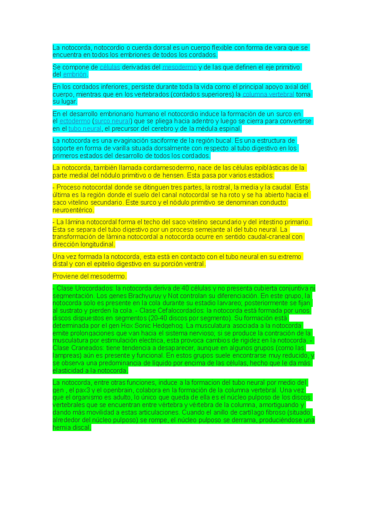 La notocorda - espero y te sirvan - La notocorda, notocordio o cuerda ...