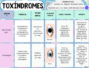 Formatos Place - formato editable - Plan de Cuidados de Enfermería ...