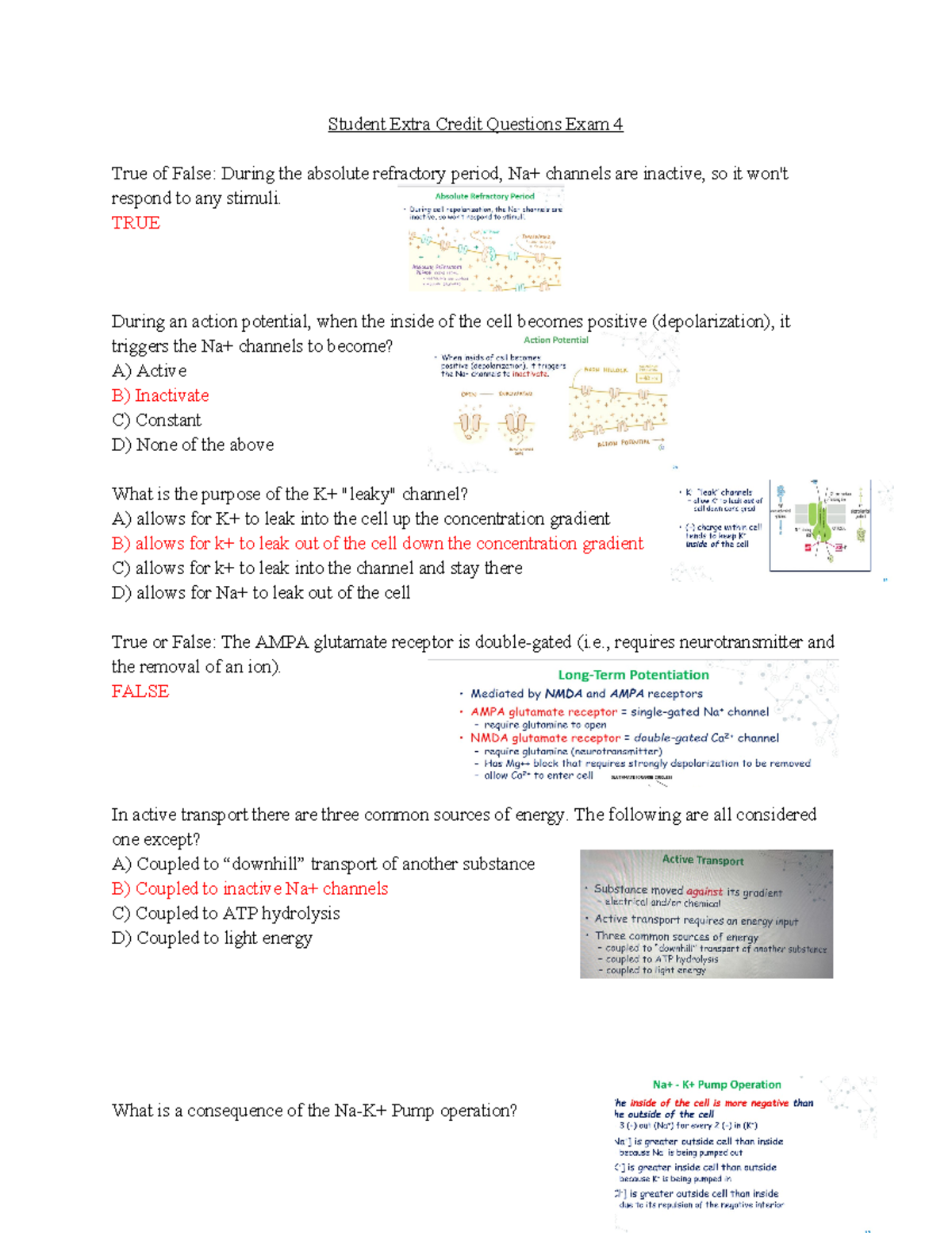 Cell+Bio+Student+EC+Questions+Exam+4+ Answers++%281%29 - Student Extra ...