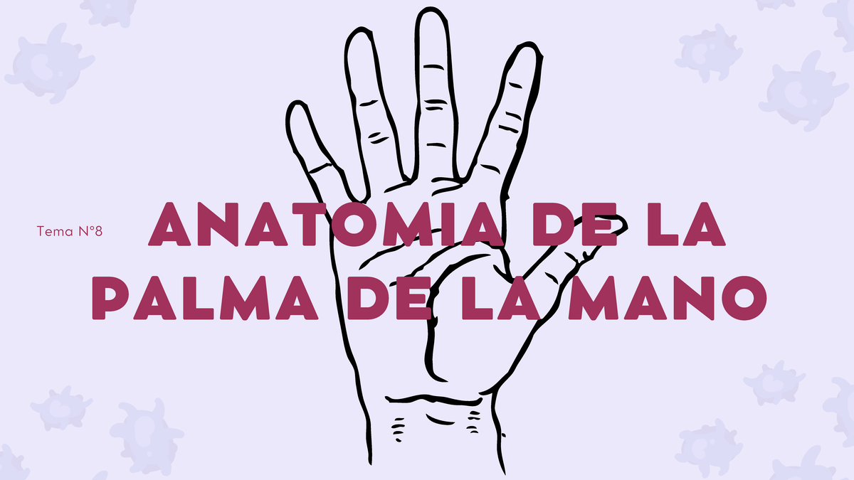 Anatomia de la palma de la mano - ANATOMIA DE LA PALMA DE LA MANO Tema N° ####### ANATOMIA - Studocu