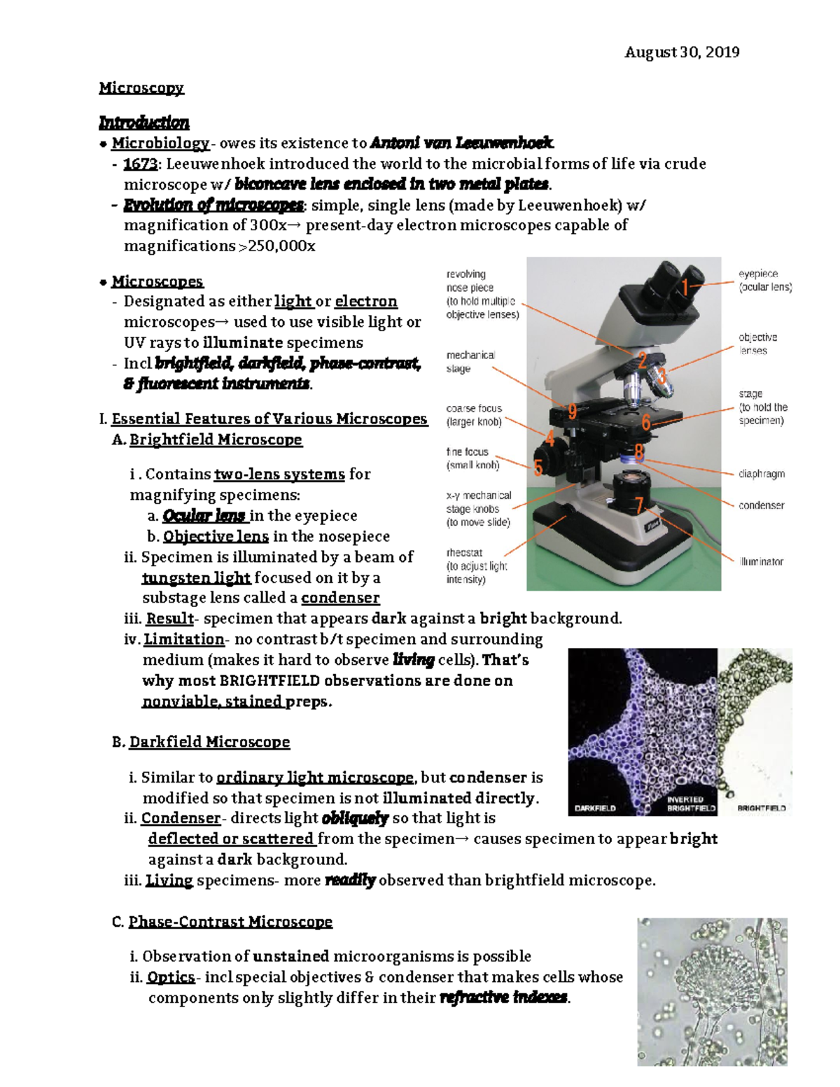 BIO 351 Session ONE Brightfield Microscopy PART 1 - August 30, 2019 ...