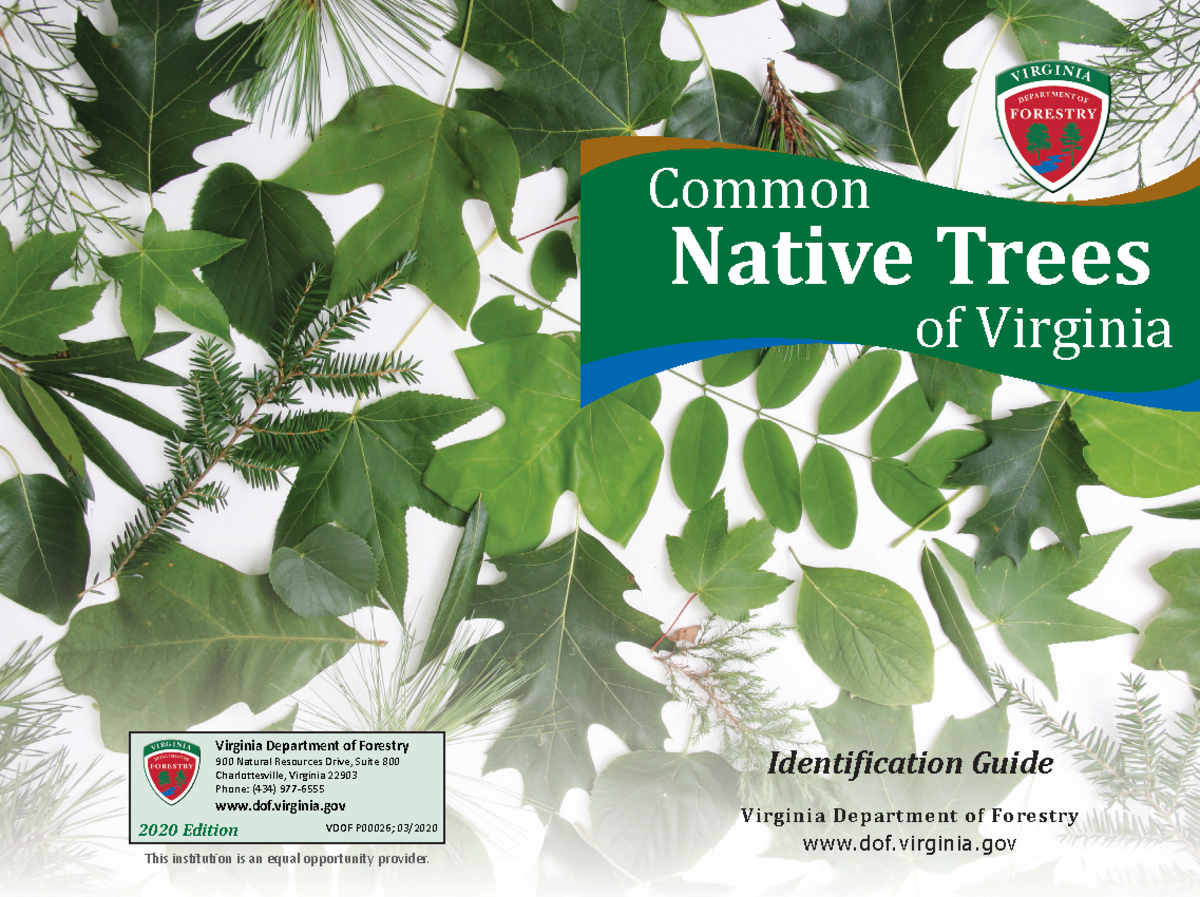 Native-Tree will help you determine the trees around you. - Common ...