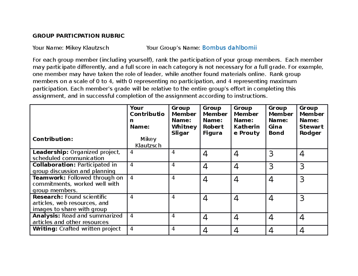 Group participation rubric-2-3 - GROUP PARTICPATION RUBRIC Your Name ...