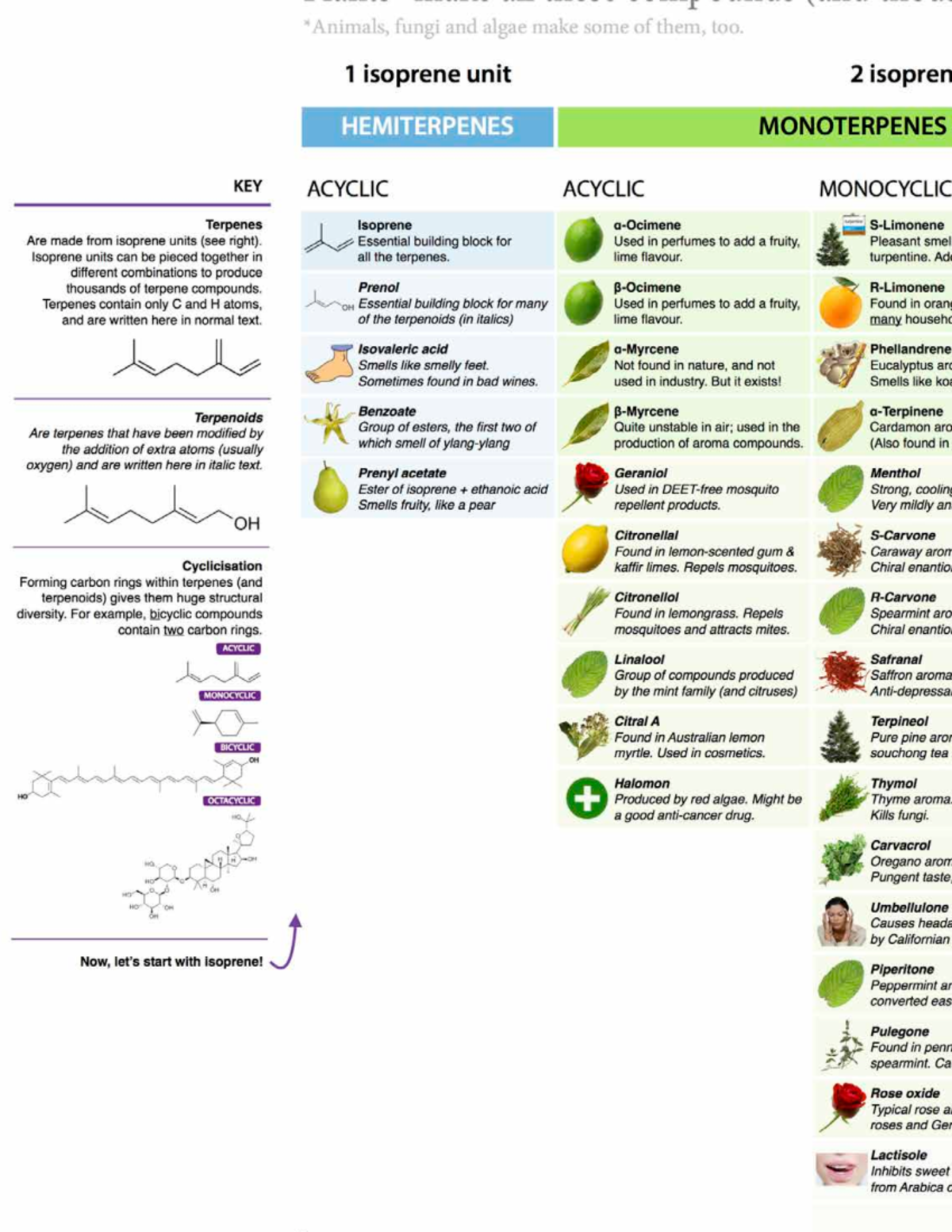 Terpenes - NatProd notes - KEY Terpenes Are made from isoprene units ...