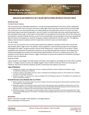 Green Revolution Worksheet - Name: _____________________ The Green ...