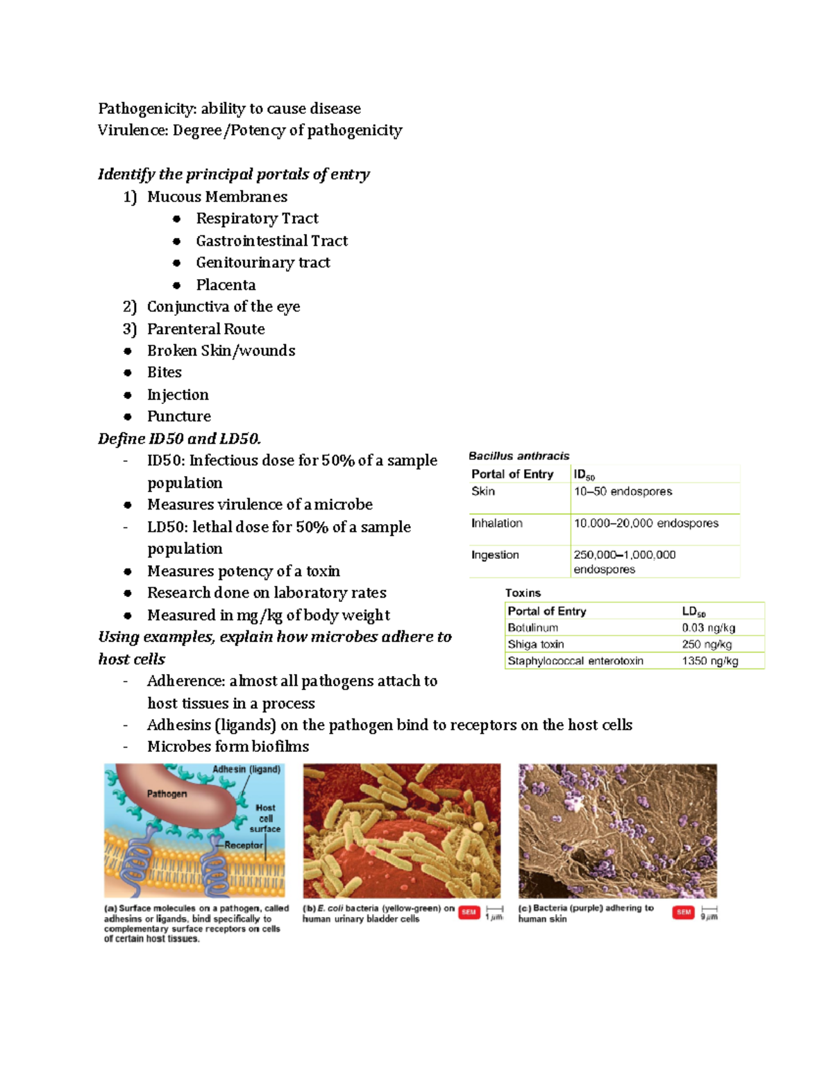 Pathogenicity and Virulence: Portals of Entry ID50 LD50 Adherence ...