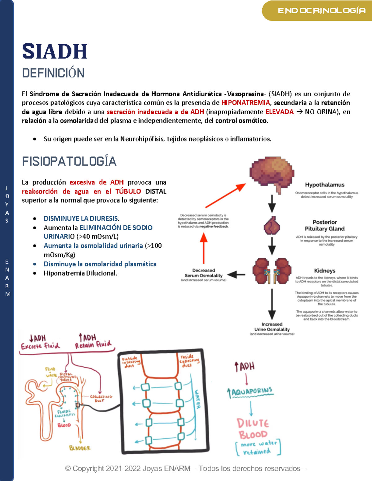 SIADH RESUMENNN - © Copyright 2021-2022 Joyas ENARM - Todos los ...