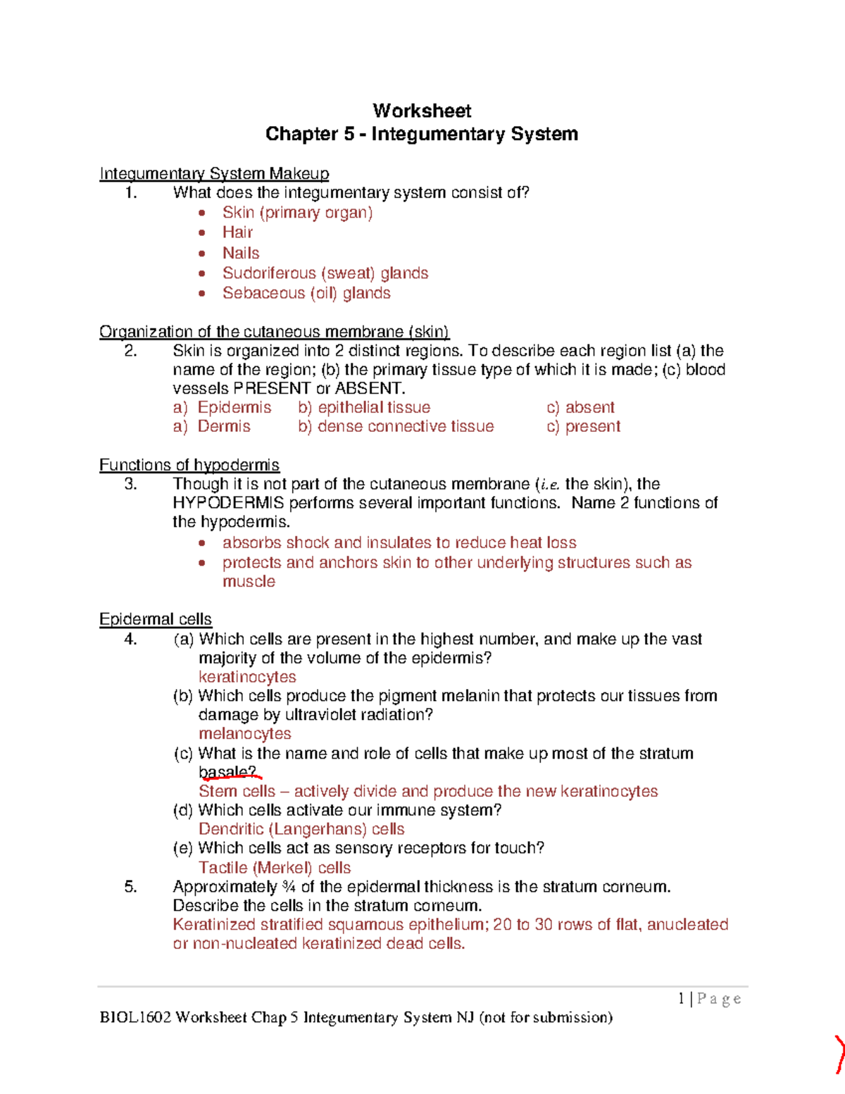 Worksheet 5 - 1 | P a g e Worksheet Chapter 5 - Integumentary System ...