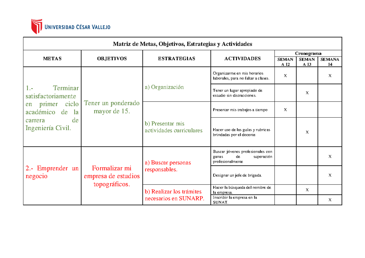 Actividad 12 Matriz - Frank Erinson Yarango Pérez - Matriz de Metas ...