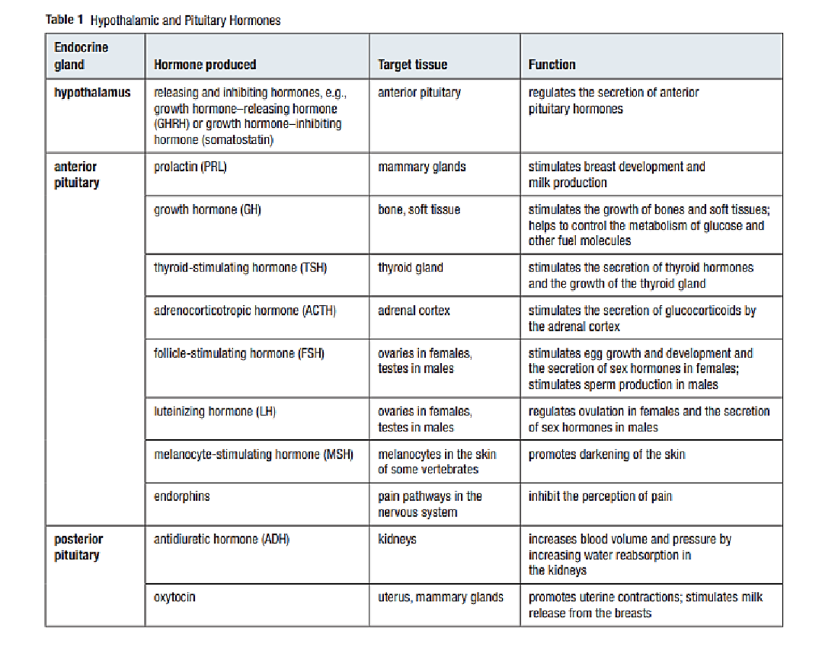 Hormones in endocrine glands - STEROID HORMONES: NATURAL VS SYNTHETIC ...