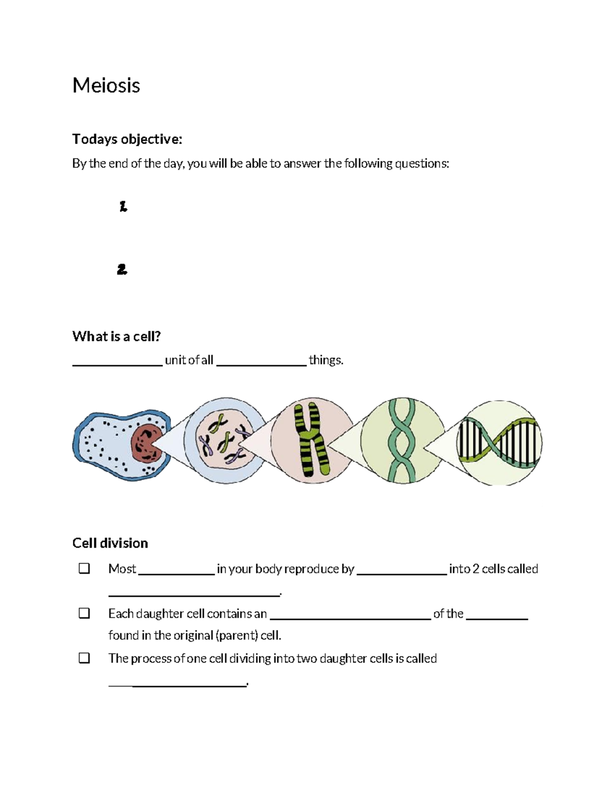 Meiosis Guided Notes-1 - Meiosis Todays objective: By the end of the ...