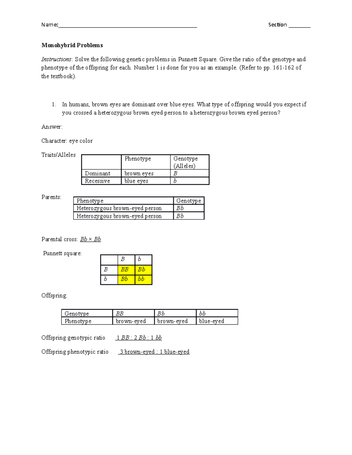 Monohybrid Problems - Name ...